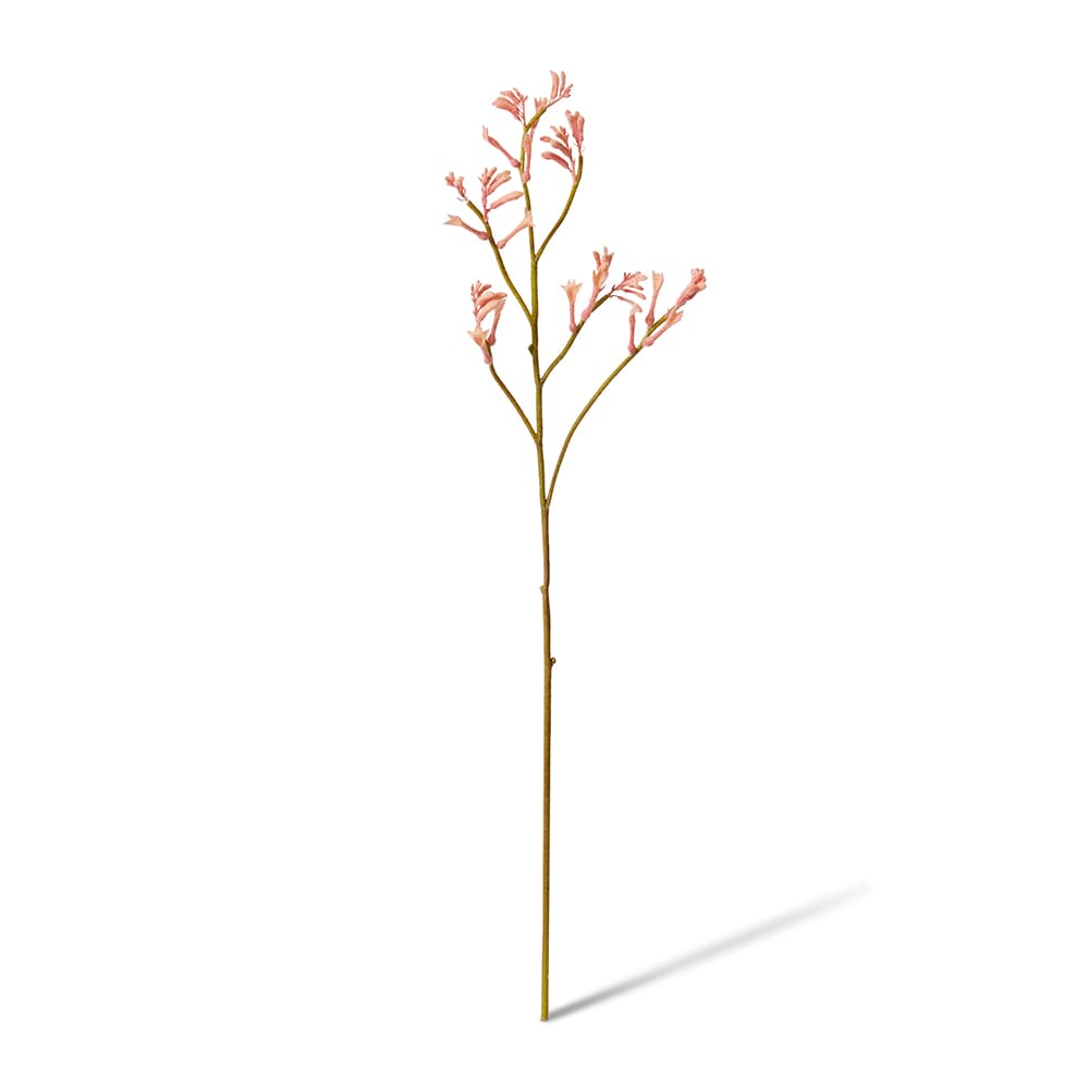 Buy Kangaroo Paw Spray Pink - 26 x 9 x 78cm - Elme Living Australia
