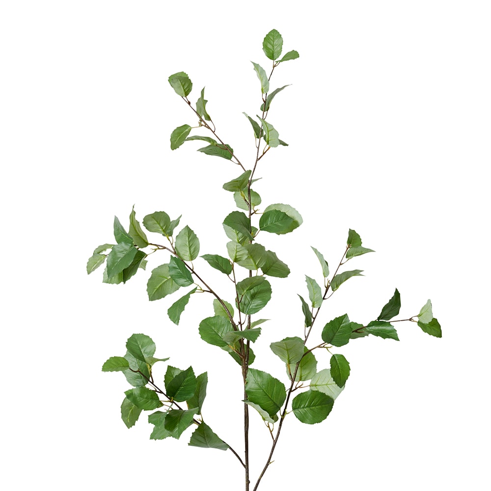 Shop Leaf Spray - 40cm x 22cm x 122cm at Sleeping Giant Australia