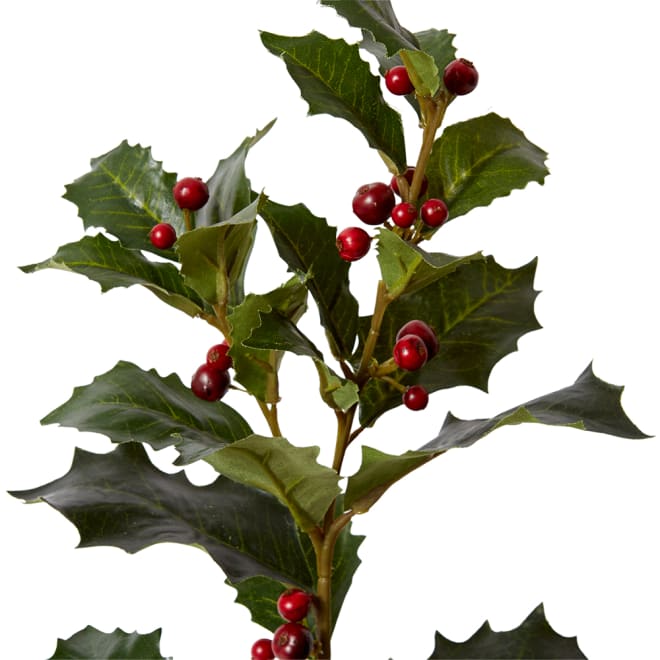 Page 2 | Shop Decorative - Elme Living Australia