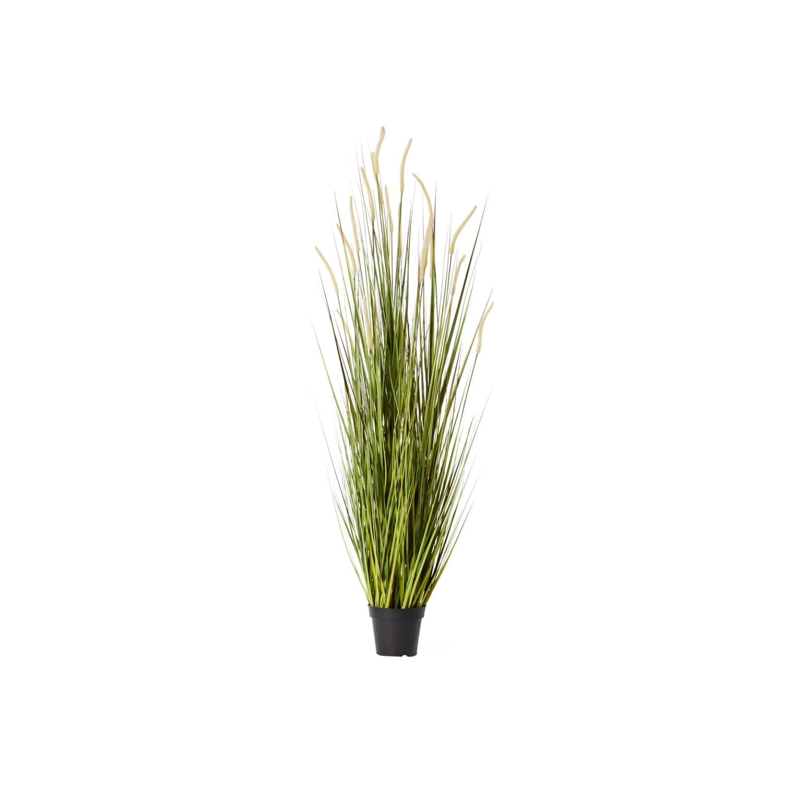 Buy Fox Tail Grass Green/White - 70cm x 70cm x 170cm - James Lane Australia