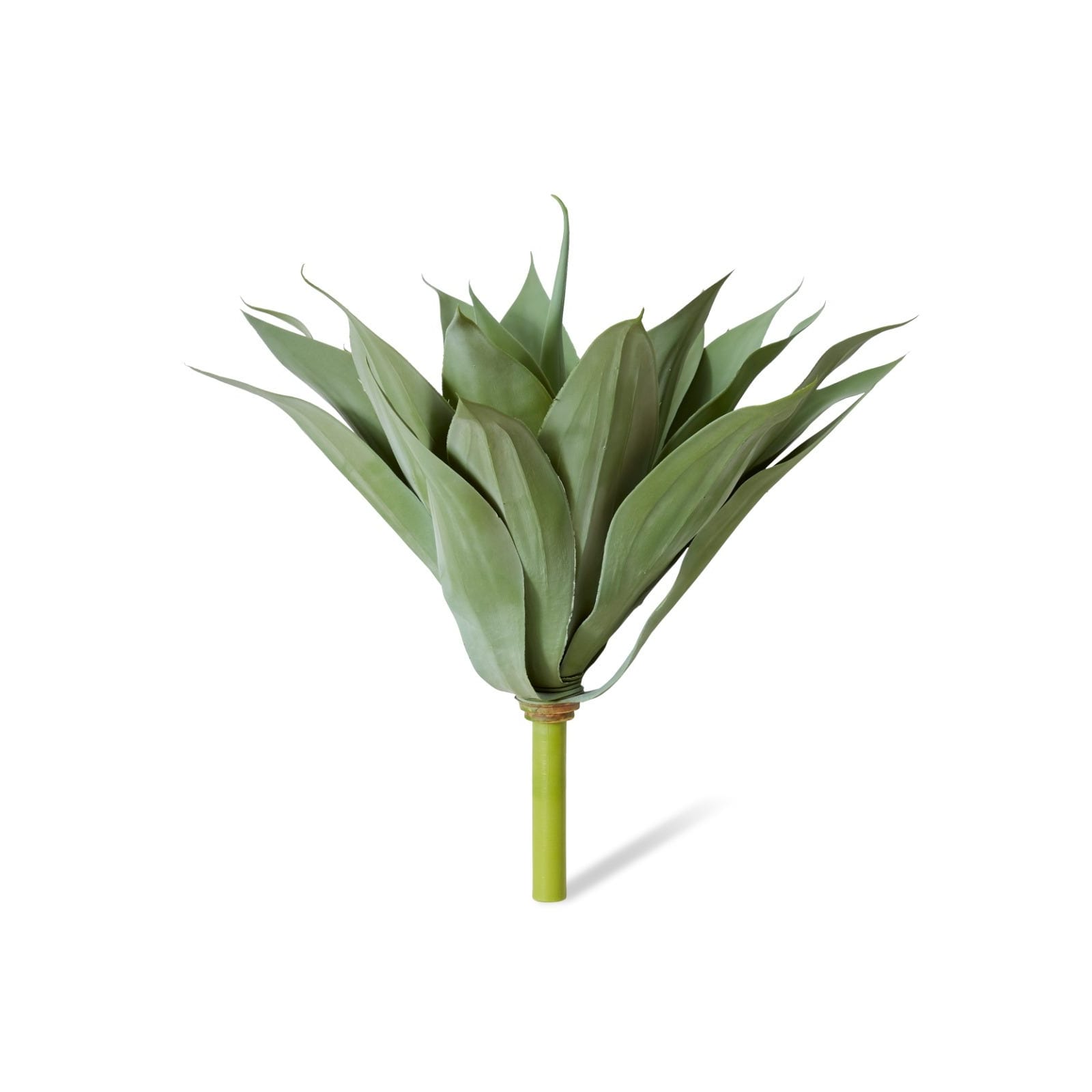 Agave - Grey/Green (52cm) | Elme Living | Australia’s destination of ...