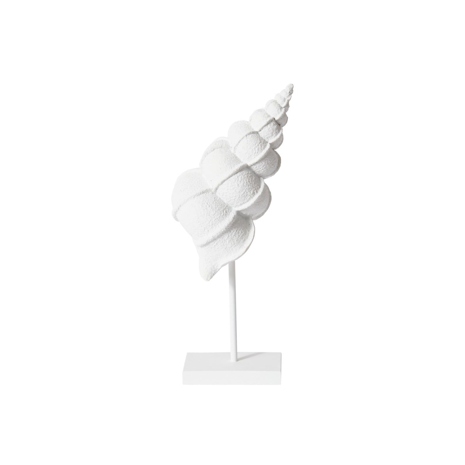 Shop Conch Shell Stand Sculpture - 12cm x 12cm x 35cm at Sleeping Giant ...