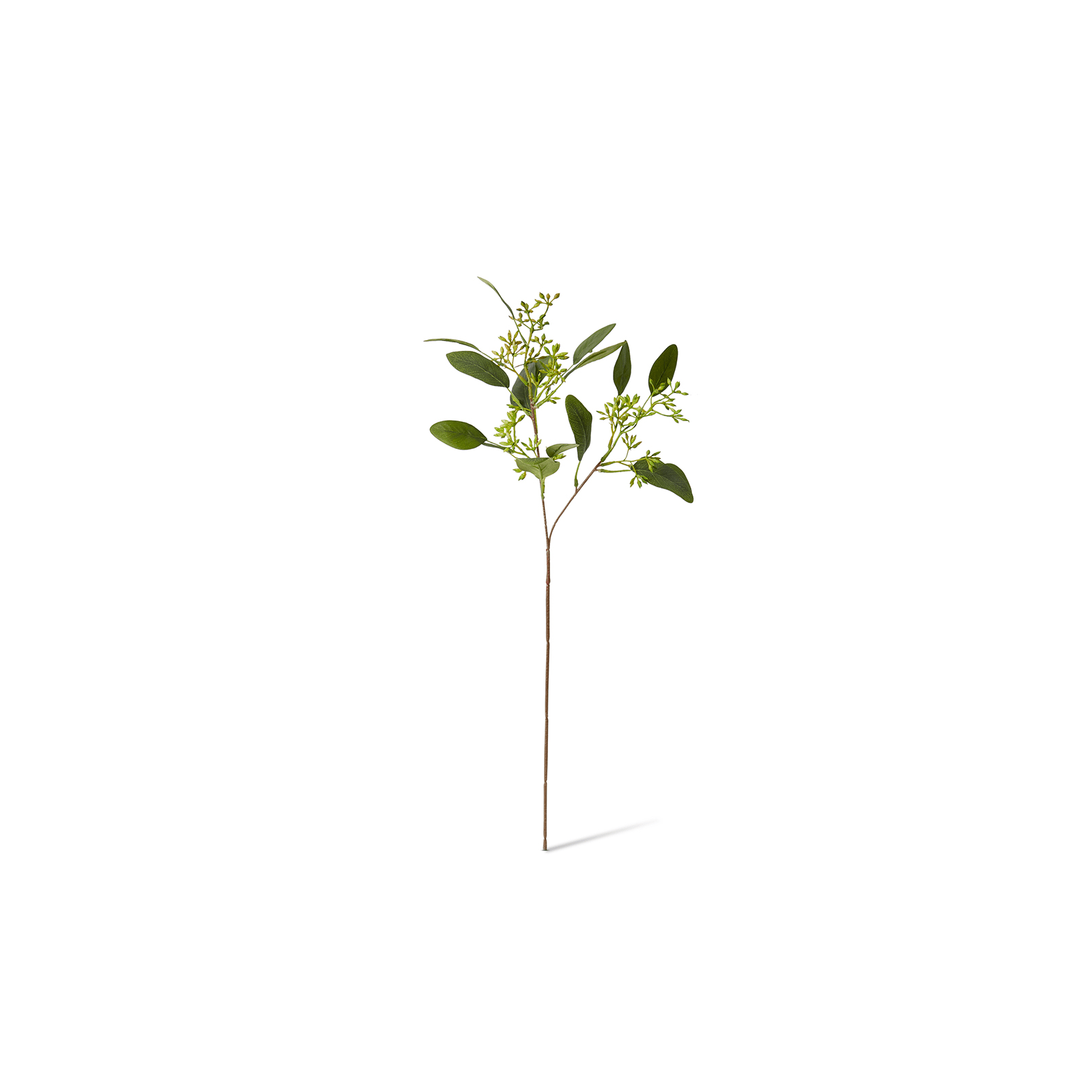 Buy Eucy Seeding Spray Green - 21 x 21 x 48cm - Elme Living Australia