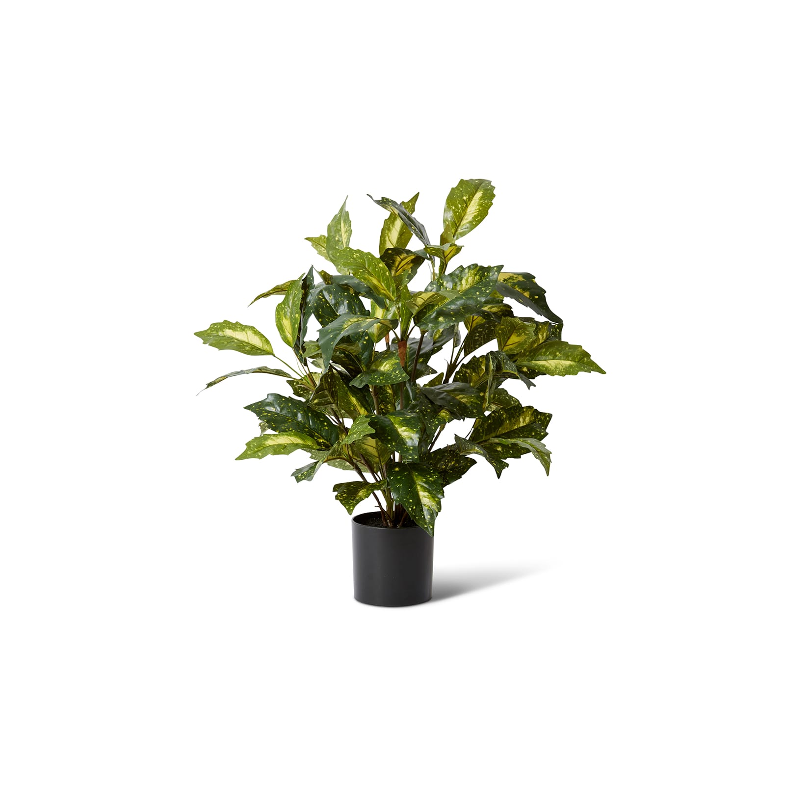 Buy Acuba Bush Potted Yellow/Green - 52 x 52 x 64cm - Elme Living Australia