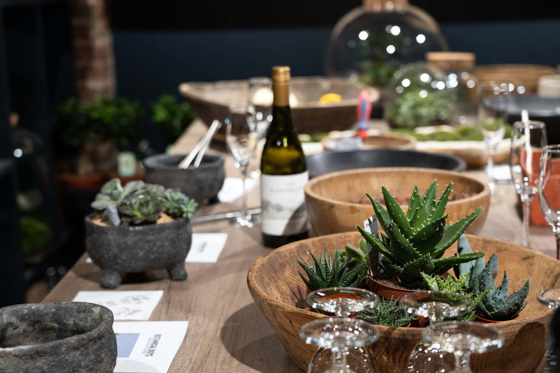 Botanical Boys Book Now | Wine Tasting & Succulent Planting Workshop