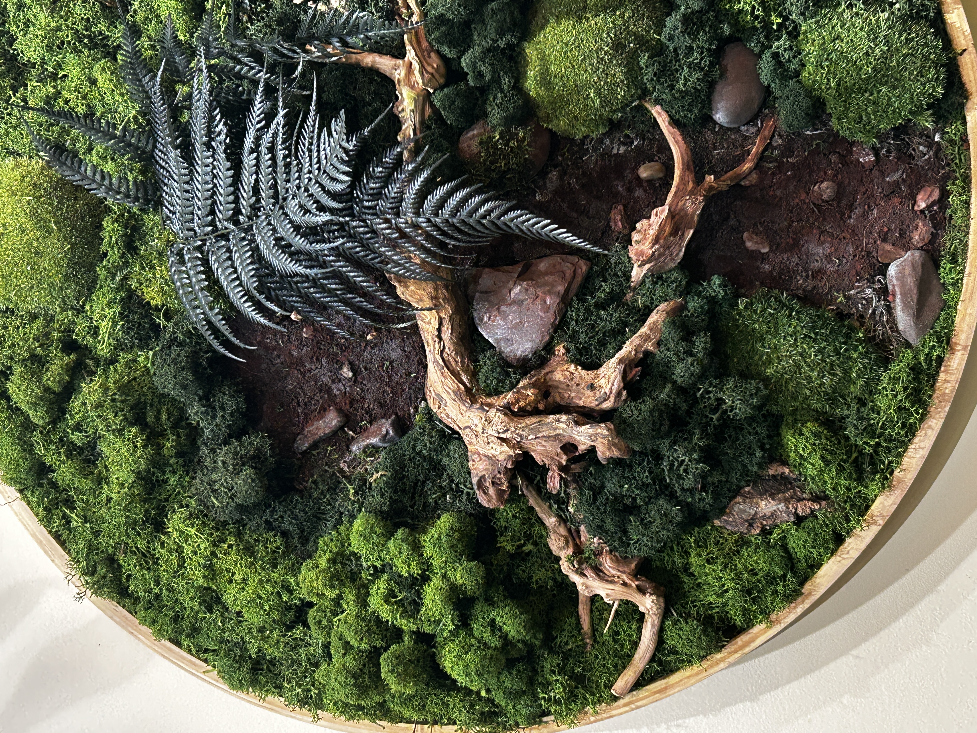 Preserved Moss Art Workshop — Botanical Boys