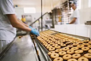 Food Processing Business Ideas: Ventures in Agriculture Industry