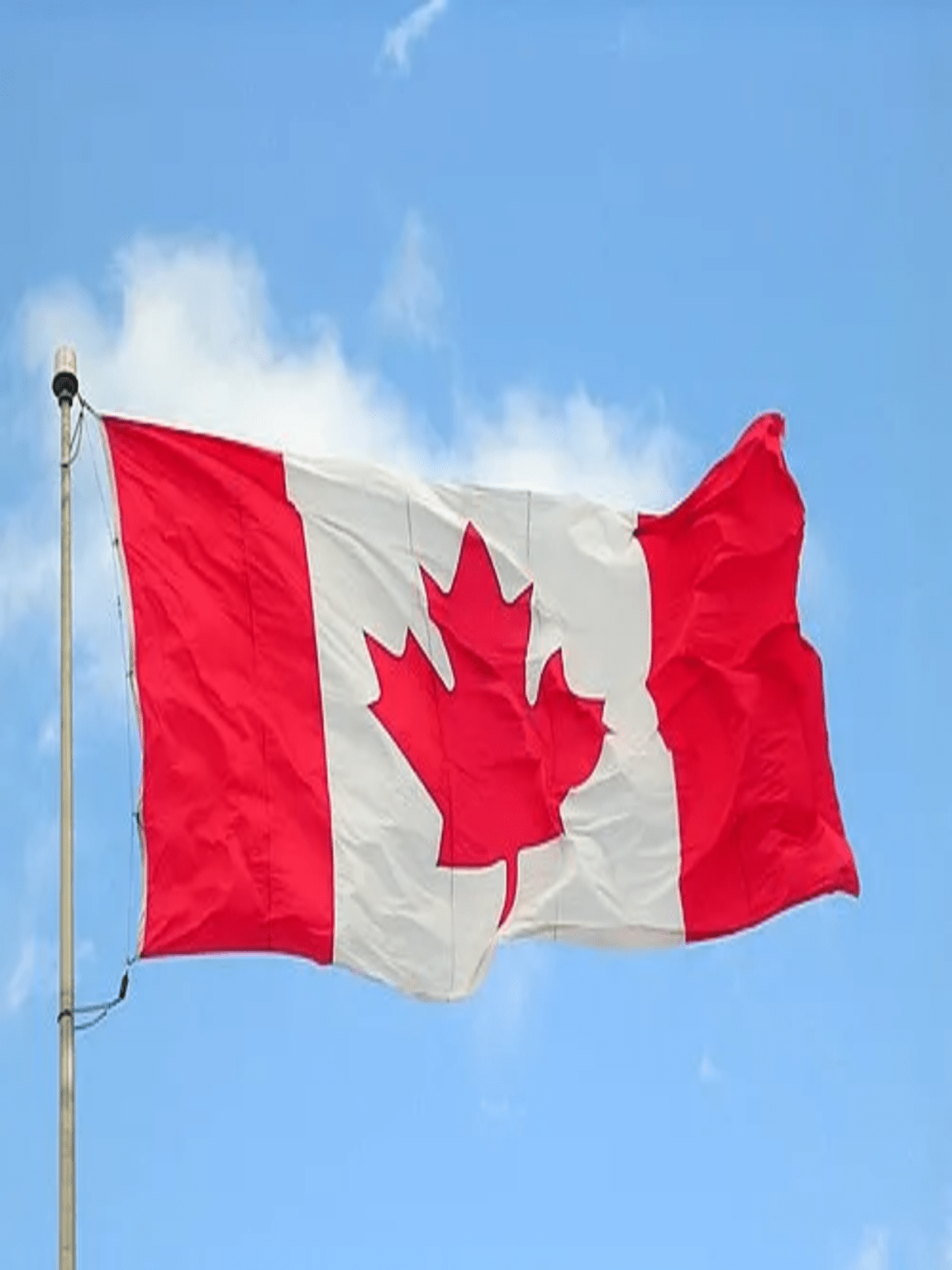 Celebrating National Flag of Canada Day: A Tribute to Unity and ... Celebrating National Flag of Canada Day: A Tribute to Unity and ...