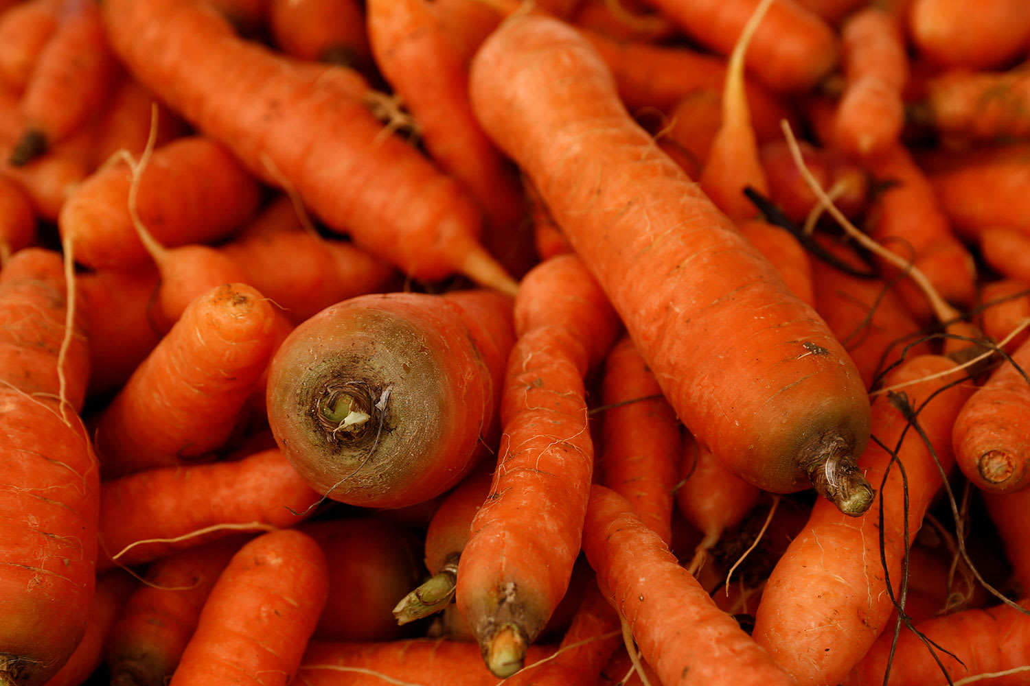 To Encourage Healthy Eating, Use the Carrot, Not Just the Stick | Think ...
