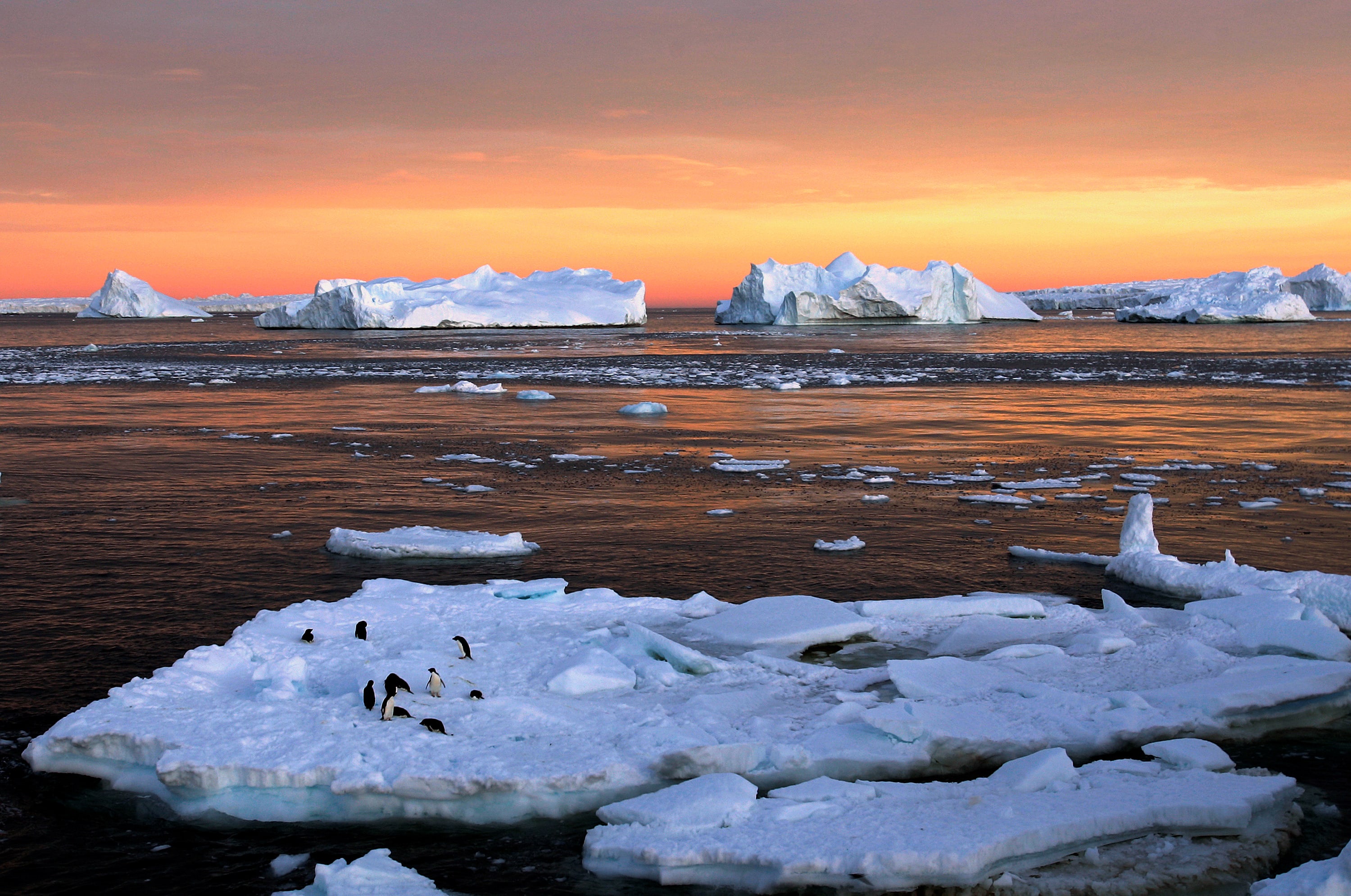 The Landmark Antarctic Treaty Turns Sixty, Facing Its Biggest Test ...
