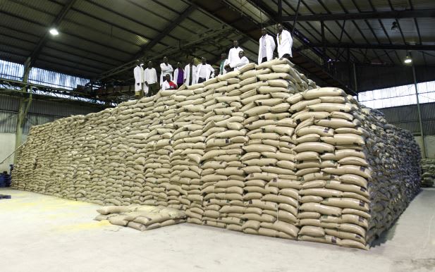 This Week in Markets and Democracy: Tackling Corruption in Guatemala ...