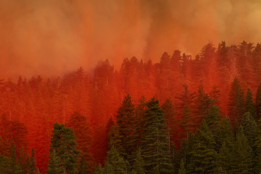 Adapting to Climate Change, With Alice C. Hill | Council on Foreign ...