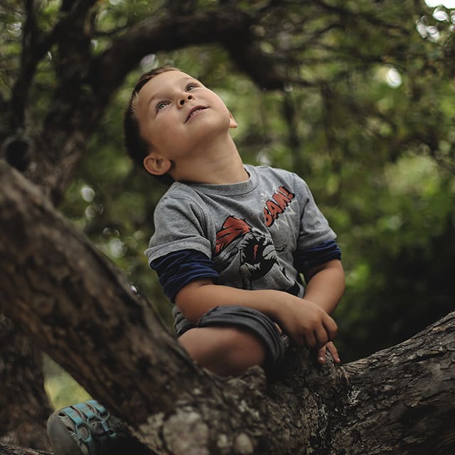 Metropolitan Forestry Services - Leverage