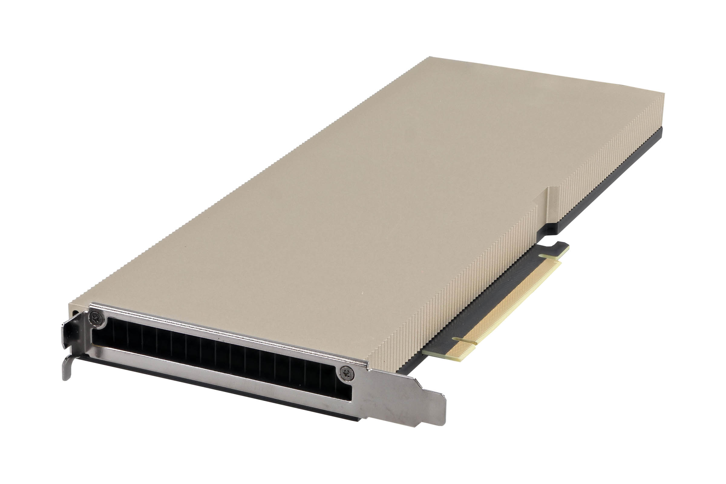 24GB NVIDIA A10 Graphics Accelerator