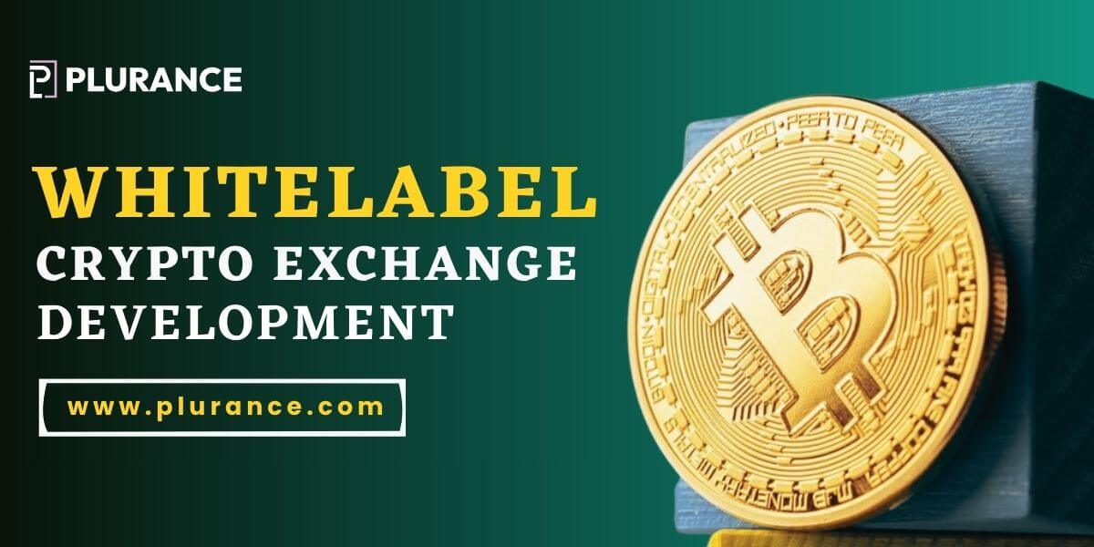White label Crypto Exchange Software Development | Plurance