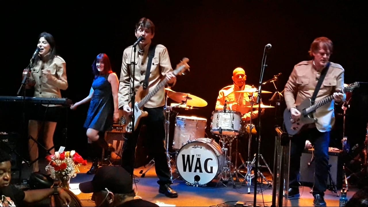 Book The Wag on BeatGig · Thousands of Artists at Your Fingertips