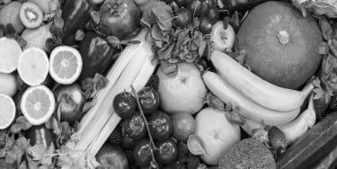 Mandatory separate food waste segregation for all businesses in 2023