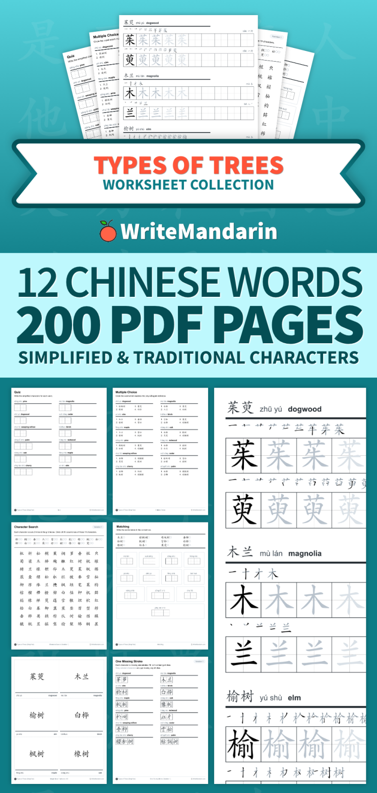 Types of Trees Chinese Writing Worksheets | WriteMandarin