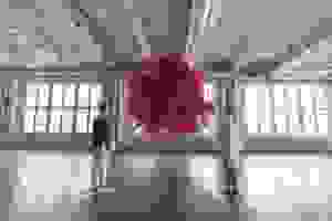 DNA Yrityksille | Operaattori, verkko- ja viestintäpalvelut