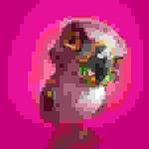 Palveluita yhteydenpitoon, viihtymiseen ja työntekoon | DNA