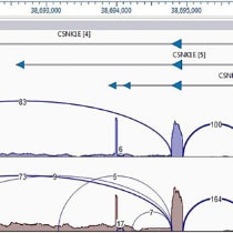 RNA-Seq Alignment & Analysis | DNASTAR