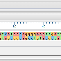 Pairwise Sequence Alignment | DNASTAR