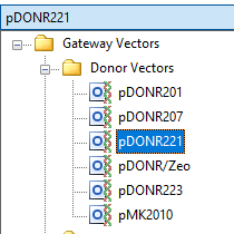 Automated Virtual Cloning | DNASTAR