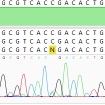 Sanger Sequence Assembly Software | DNASTAR