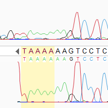 Sanger Sequence Assembly Software | DNASTAR