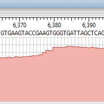 Sanger Sequence Assembly Software | DNASTAR