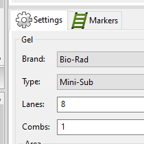 Gel Electrophoresis Simulation | DNASTAR