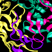 Antibody Modeling Workflow | DNASTAR