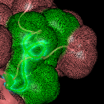 Epitope Prediction Using Protean 3D | DNASTAR