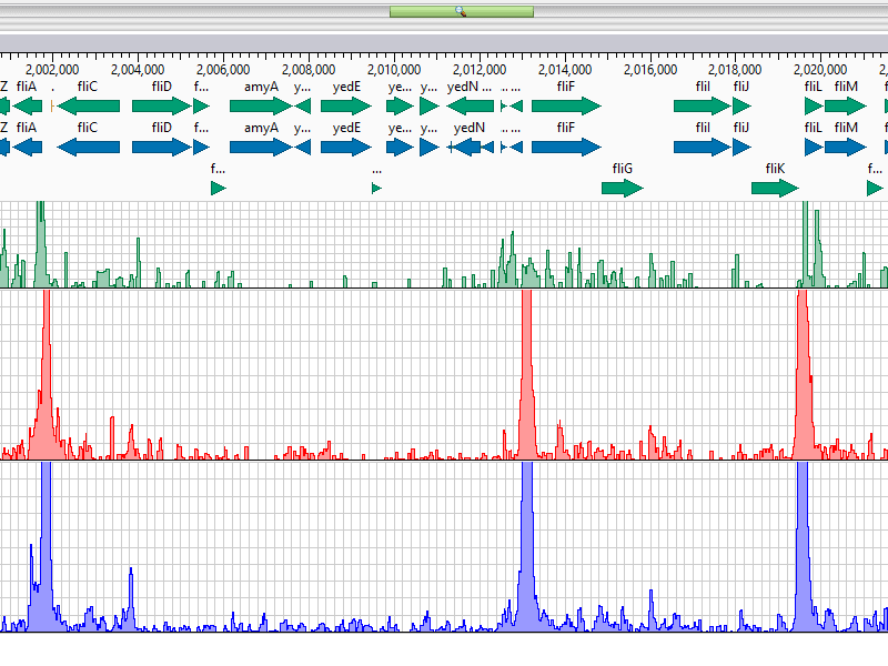 ChIP-Seq Data Analysis Workflow | DNASTAR ChIP-Seq Data Analysis Workflow | DNASTAR