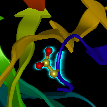 Protein Stability Prediction | DNASTAR