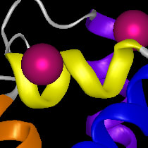 Protein Structure Analysis Workflow | DNASTAR