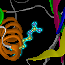 Protein Structure Analysis Workflow | DNASTAR