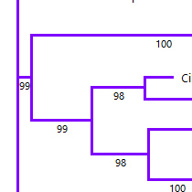 Multiple Sequence Alignment Software | DNASTAR
