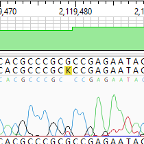 Sanger Sequence Assembly Software | DNASTAR