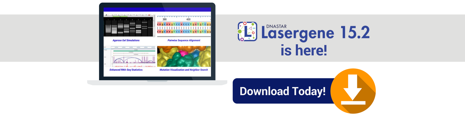 Bioinformatics Software for Life Science | DNASTAR | Lasergene