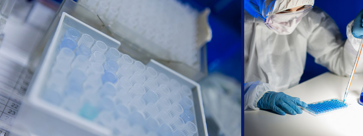 Vector NTI Alternative | SeqBuilder Pro | DNASTAR