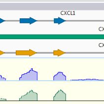 Whole Exome/Whole Genome Sequencing Analysis | DNASTAR