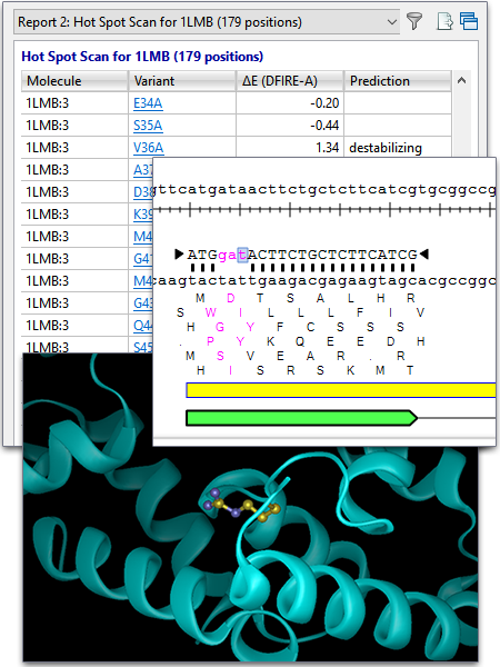 PCR Site-Directed Mutagenesis | DNASTAR