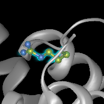 PCR Site-Directed Mutagenesis | DNASTAR