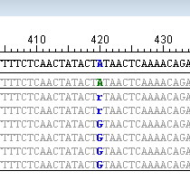 Whole Exome/Whole Genome Sequencing Analysis | DNASTAR