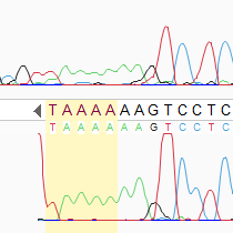 Sanger Sequence Assembly Software | DNASTAR