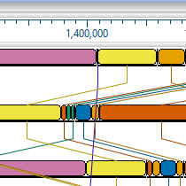 Mauve Genome Alignment Workflow | DNASTAR