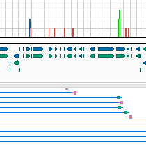 Metagenomic Assembly and Analysis | DNASTAR