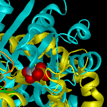 Protein Structural Alignment Workflow | DNASTAR