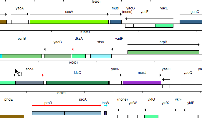 GenVision Genome Mapping Software | DNASTAR